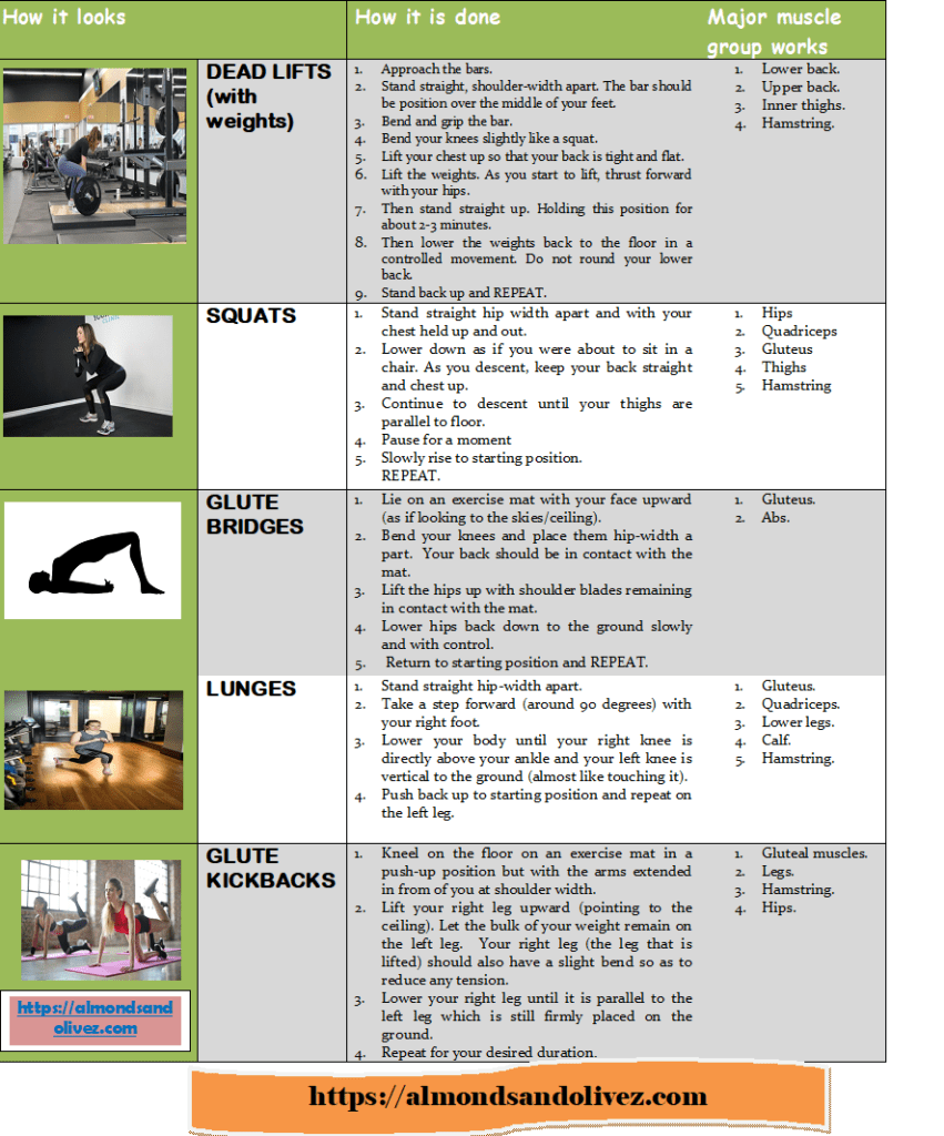 What are the Gluteus Muscles/Glutes? - Five (5) Exercises to strengthen ...